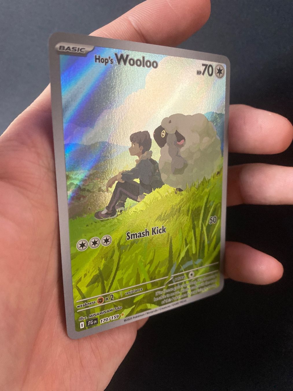 Hop's Wooloo 170 - Hops Wolly - IR - Journey Together - EN (Neu (gemäss ...
