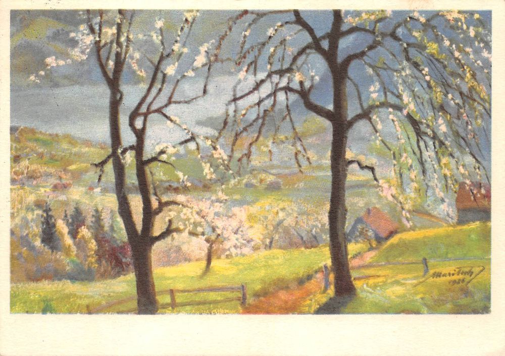 Aegerisee, Hanna Maritsch, Pro Infirmis | Kaufen auf Ricardo