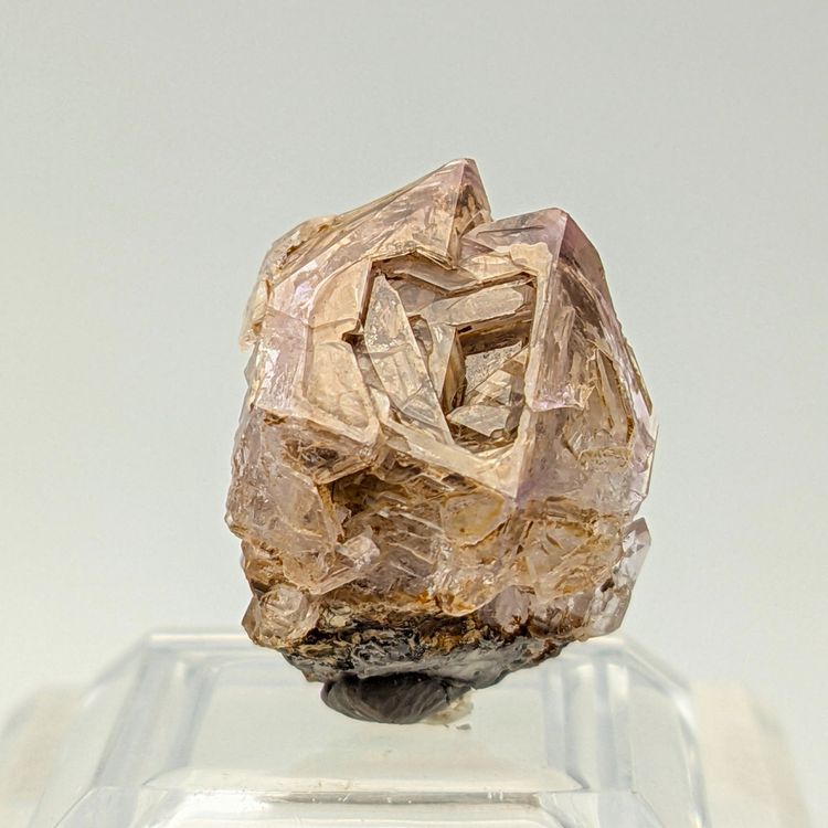 SKELETT- und FENSTER-AMETHYST mit EINSCHLÜSSEN, Sardinien (Nuovo (secondo la descrizione)) a ...