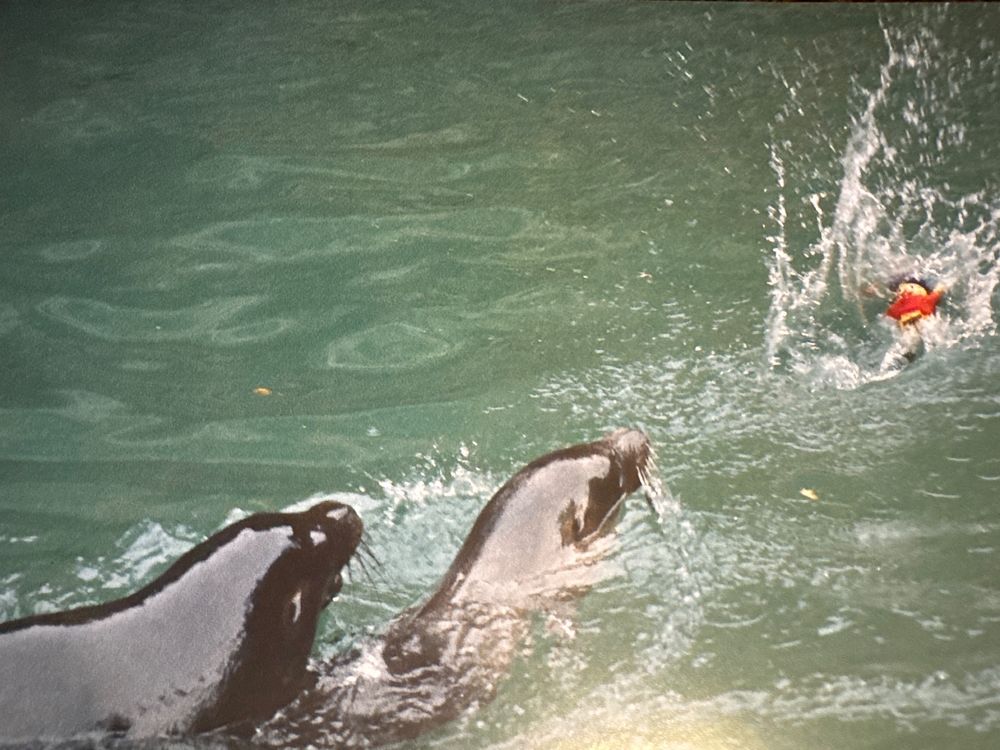 Baski im Meer - Band 10 (Gebraucht) in Aarau für CHF 14 – mit Lieferung ...