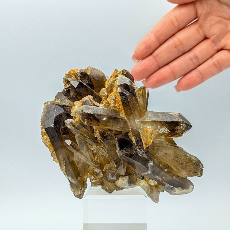 Seltene RUSSISCHE RAUCHQUARZE mit GEKREUZTEN Kristallen (Neu (gemäss Beschreibung)) in Balerna ...