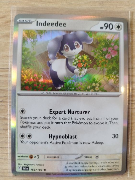 Indeedee SVI holo 153/198 | Kaufen auf Ricardo