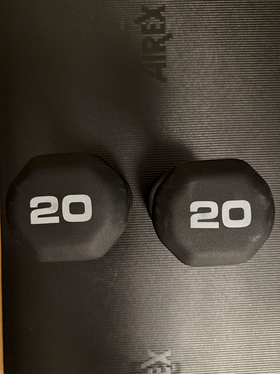 2 x 20 lb (9 kg) Dumbbell Set - Perfect for Home Workouts (Gebraucht ...