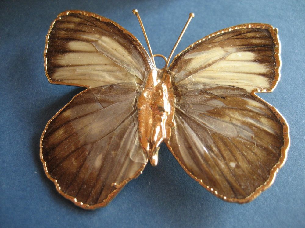 Bijoux naturels, plaqués or, neufs (Neu und originalverpackt) in ...