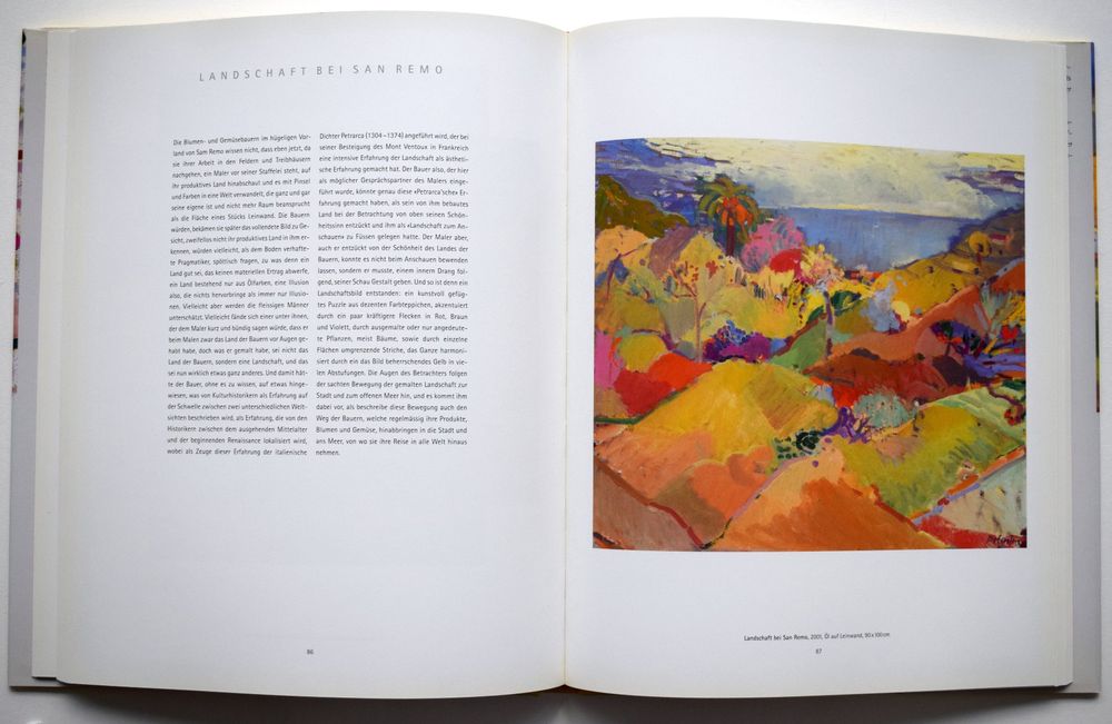 Constantin Polastri CH Rare Monografiie Markus Timo Rüegg (Gebraucht ...