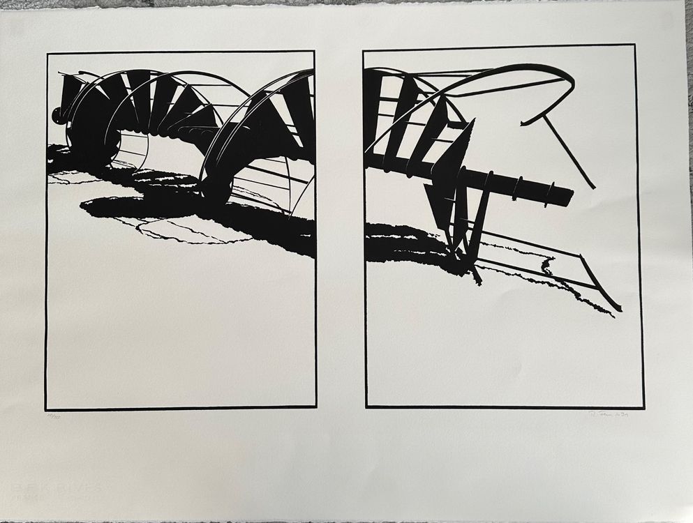 Grosse Moderne Lithographie Unl.Signiert (Gebraucht) in Root für CHF 19 – nur Abholung auf ...