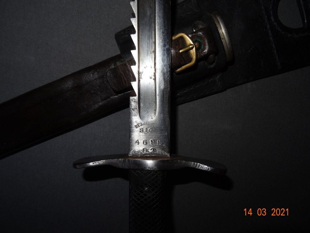 Faschinenmesser Vetterli , M 1887 ,Typ 2 (Gebraucht) in Trachslau für CHF 200 – mit Lieferung ...