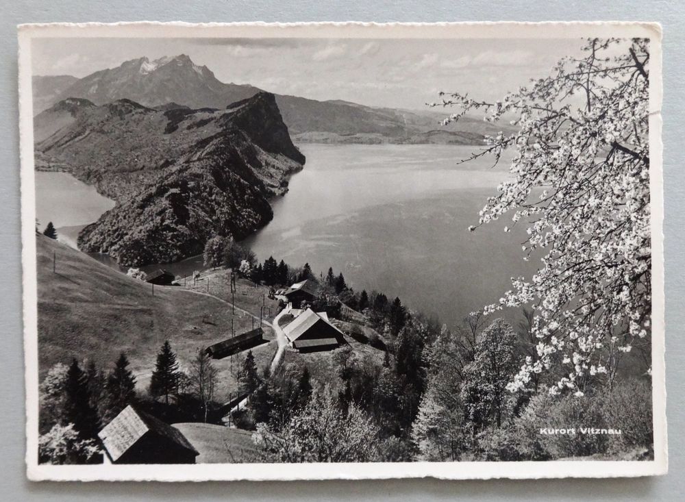 Berghotel Wissifluh ob Vitznau | Kaufen auf Ricardo