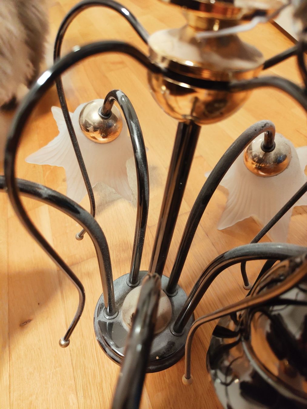 Sehr schöner Decken - Leuchter (Gebraucht) in Chur für CHF 10 – nur ...