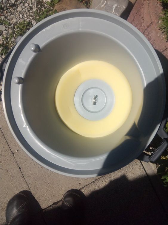 Wassersauger Taski Vacumat 12 (Neu (gemäss Beschreibung)) in Plaffeien ...