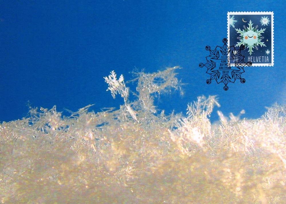 Maximumkarte Weihnachten 2023 - Schneekristall | Kaufen auf Ricardo