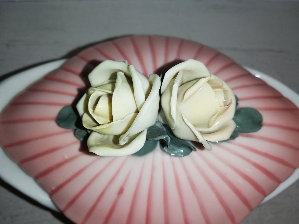 Karl Ens Porzellan Dose Rosen (Gebraucht) in Aarburg für CHF 10 – mit ...