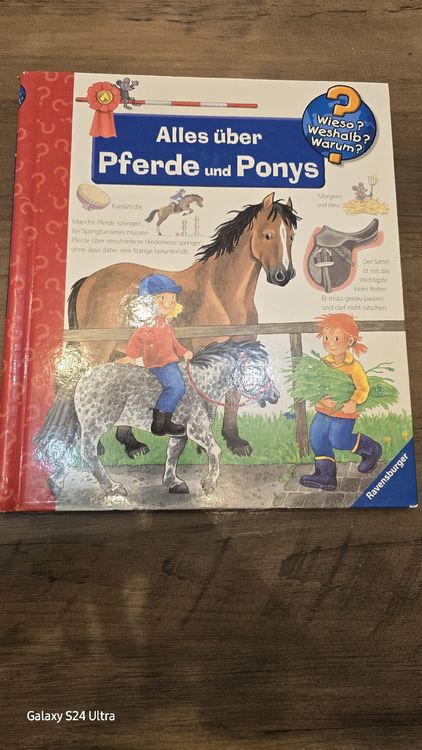 "Alles über Pferde und Ponys" - Tolles Kinderbuch (Gebraucht) in Baar ...
