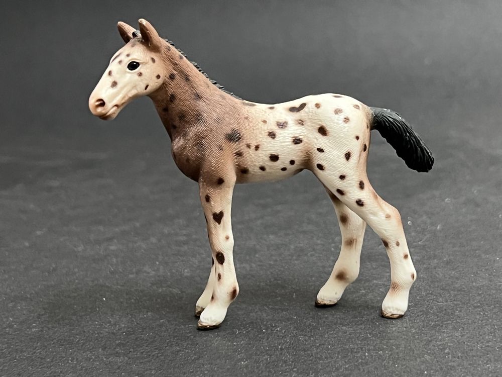 Schleich Knabstrupper Stute Pferd Fohlen (Gebraucht) in Ennetbaden für CHF 18 – mit Lieferung ...