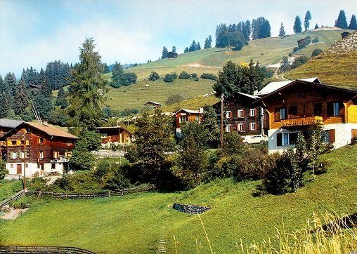 PEIST Simishus Bienehüsli Lärchehöckli (Neu (gemäss Beschreibung)) in ...