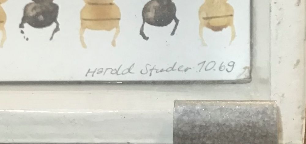 Harold STUDER (1942-2000) Mischtecknik (Gebraucht) in Root für CHF 205 ...