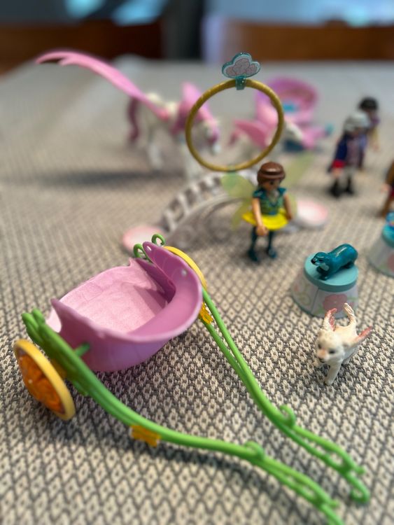 Playmobil Fairies/Feen mit Pegasus Kutsche, viel Zubehör (Gebraucht) in ...