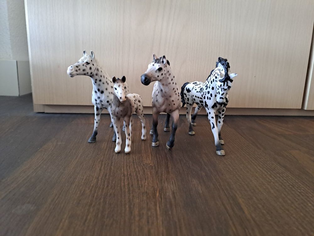 Schleich Knabstrupper Herde (3 Pferde, 1 Fohlen) (Gebraucht) in Suhr für CHF 10 – mit Lieferung ...