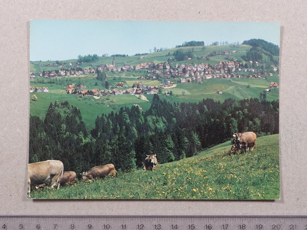 Rehetobel AR, Sägholz, 1994 (Gebraucht) in Lenzburg für CHF 3 – mit Lieferung auf Ricardo kaufen