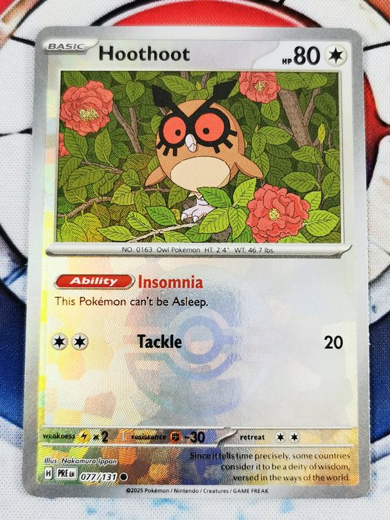 Pokemon Hoothoot 077 PokeBall Prismatic Evolutions EN (Neu (gemäss ...