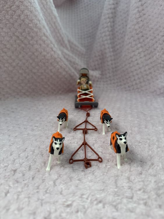 Playmobil Hunde-Schlittenfahrt im Winter (Gebraucht) in Wichtrach für ...