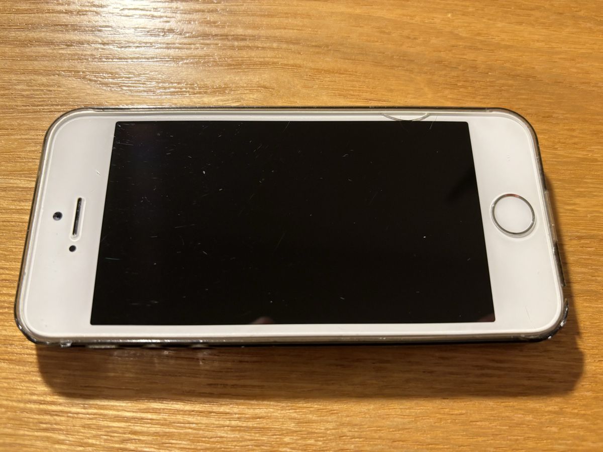 iPhone 5S - 16GB bianco (Usato) a Muralto per CHF 35 – con consegna ...