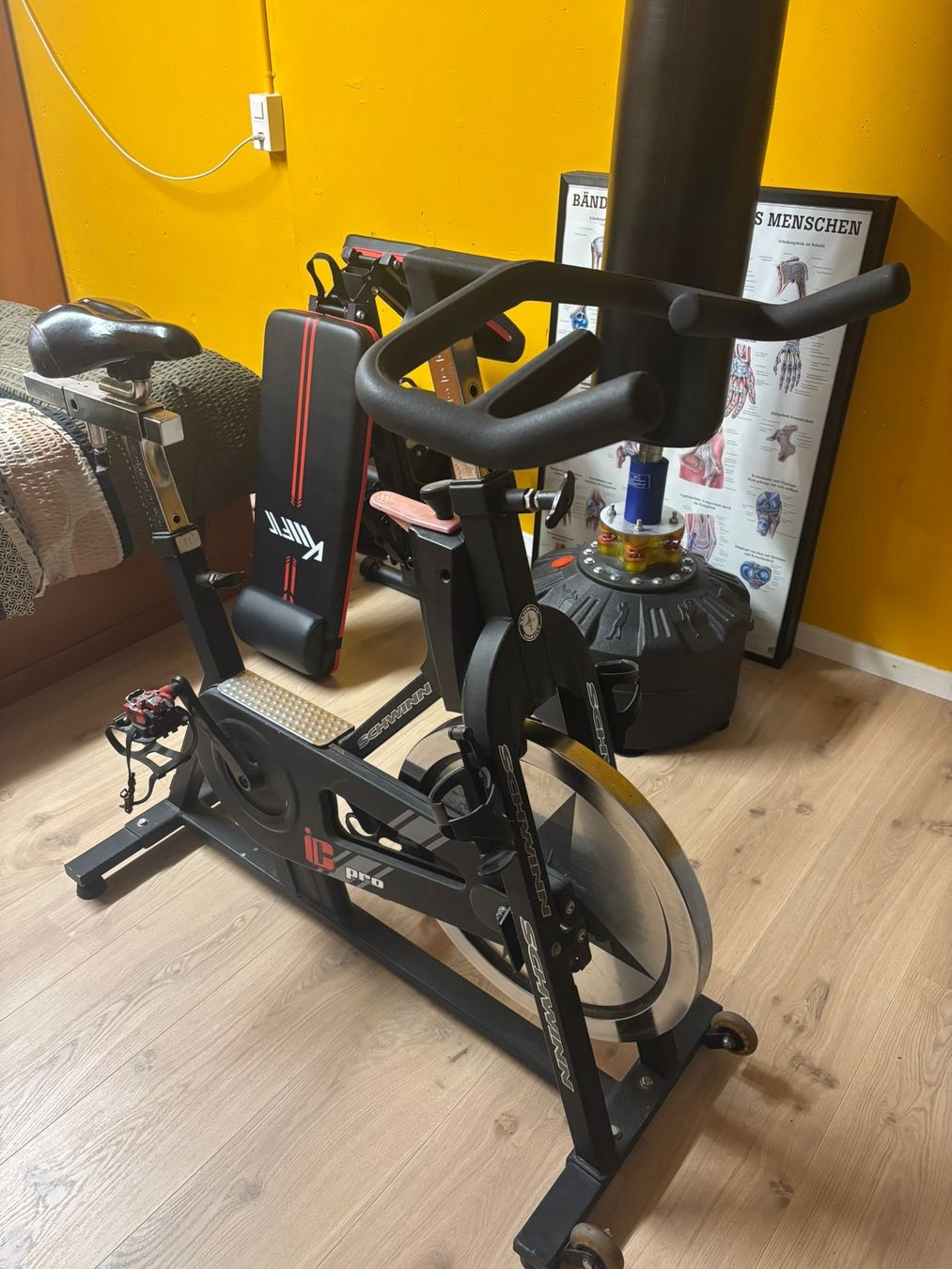 Schwinn IC Pro Indoor Cycle - guten Zustand (Gebraucht) in Jonen für ...