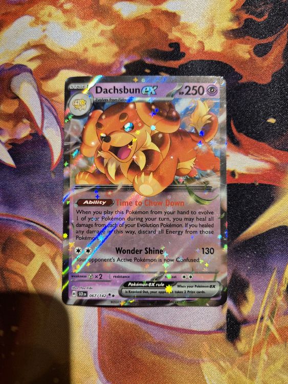 Pokémon Dachsbun ex 067/142 en (Neu (gemäss Beschreibung)) in Rolle für ...