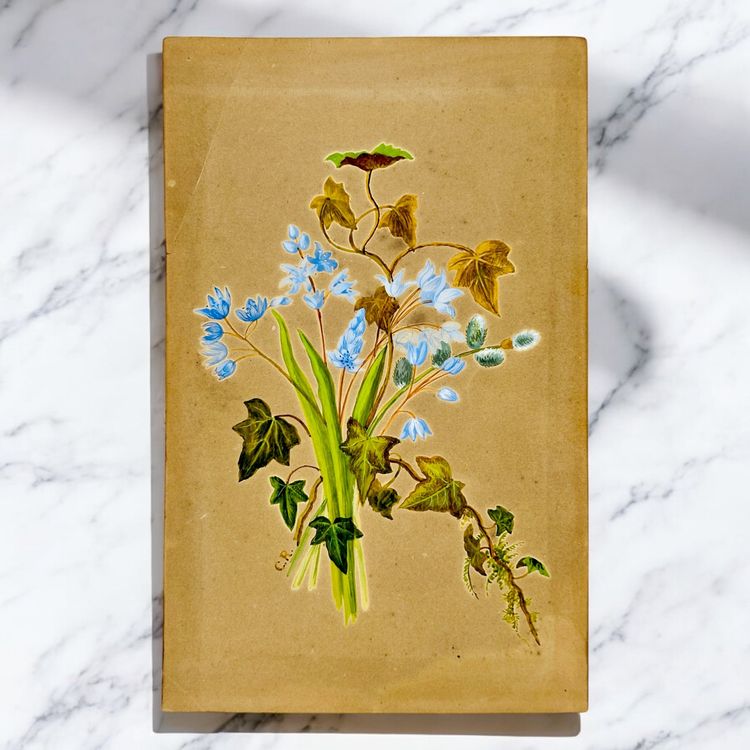 C. ROBERT Aquarelle ancienne Scila Amoena et Hedera Helix (Gebraucht) in Morges für CHF 50 – mit ...