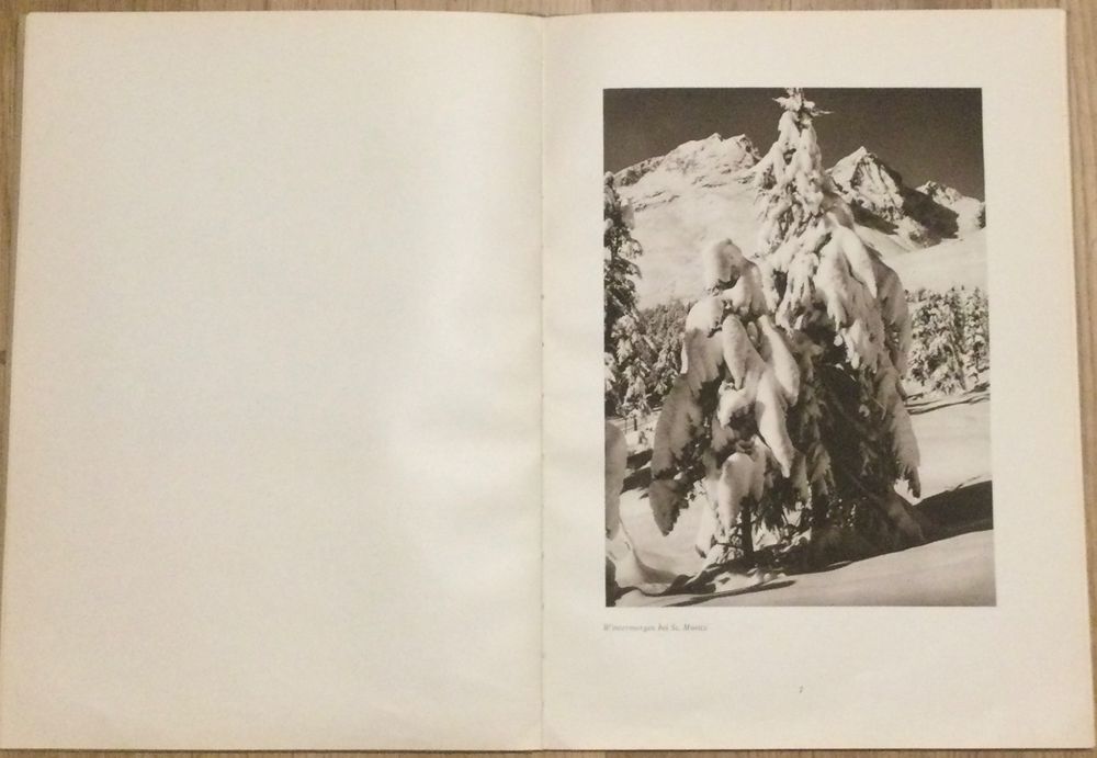 Albert STEINER (1877-1965) Engadiner Landschaften Buch (Gebraucht) in Root für CHF 85 – mit ...