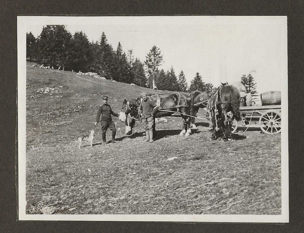 1. Weltkrieg,Train,Kavallerie?,Unikat | Kaufen auf Ricardo