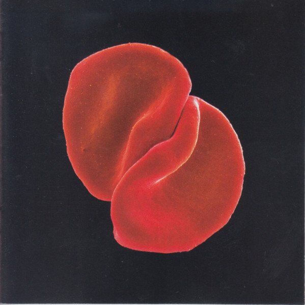 Peter Gabriel – Scratch My Back, CD, D7 (Gebraucht) in Sessa für CHF 1 ...