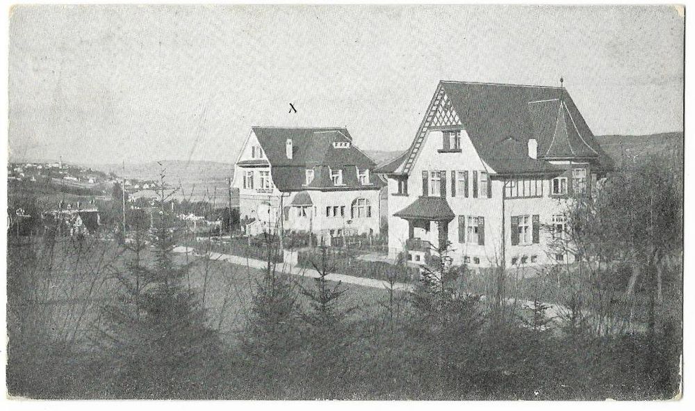 HORGEN: zwei Fabrikkantenvillen 1909 (Gebraucht) in Engelburg für CHF 18 – mit Lieferung auf ...