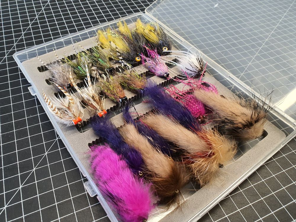 Streamer "Trout-Intruder" (Gebraucht) in Muri b. Bern für CHF 72 – mit ...