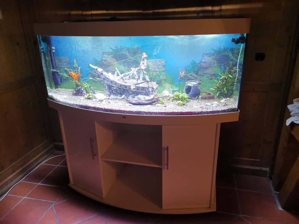 Aquarium Juwel 400 Liter mit viel Zubehör und fluval FX6 | Kaufen auf ...