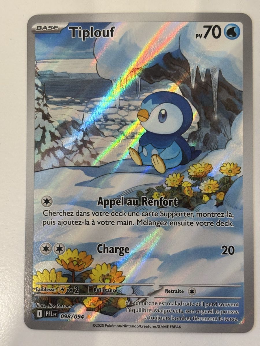 Carte Pokémon TIPLOUF pfl 098 fr (Neuf (Voir description)) à lausanne ...
