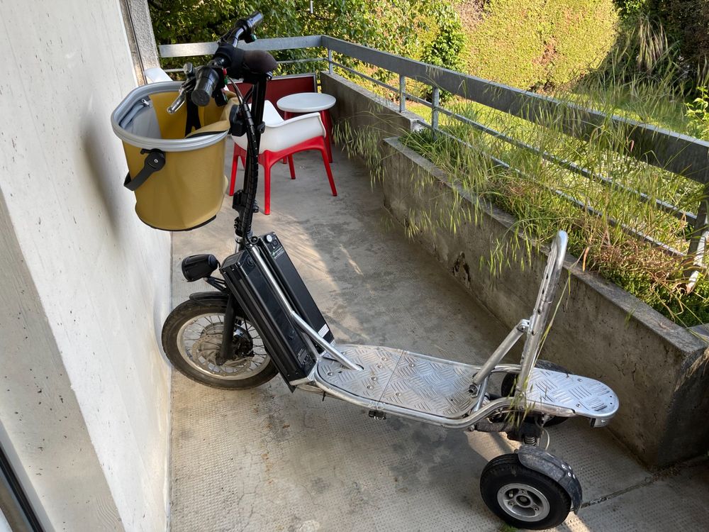 E-Bikeboard excellent état, Batteries neuves, bons états | Kaufen auf ...