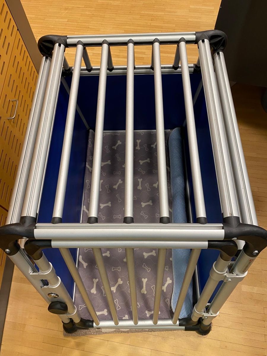 Swiss InnovaDog Transportbox Hunde-Box, Top Zustand! (Gross) (Gebraucht ...