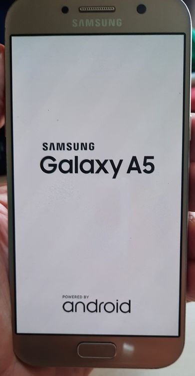 Samsung Galaxy A5 SM-A520F auf WERKSEINSTELLUNGEN gesetzt | Kaufen auf Ricardo