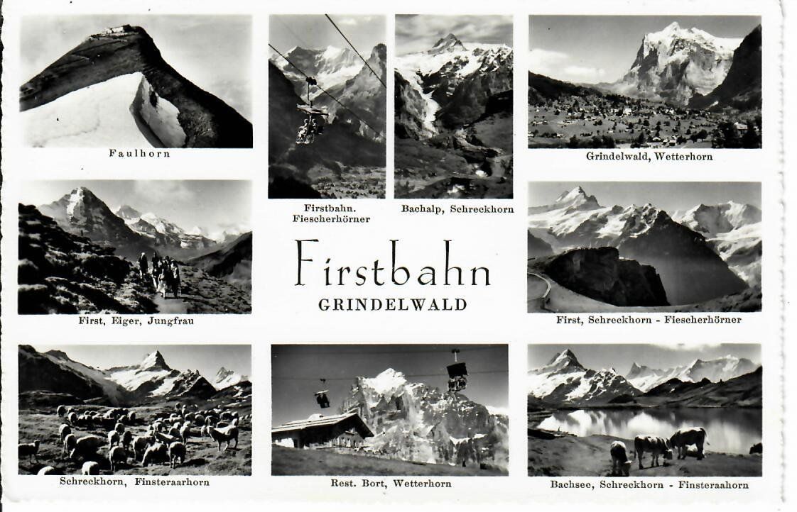 Firstbahn Grindelwald (Gebraucht) in Hochdorf für CHF 4 – mit Lieferung ...