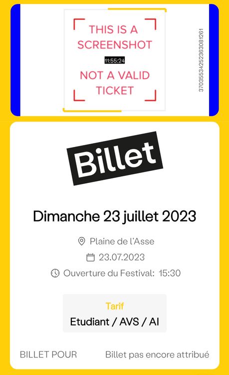 Billet Paléo Etudiant - Dimanche 23 juillet 2023 | Kaufen auf Ricardo