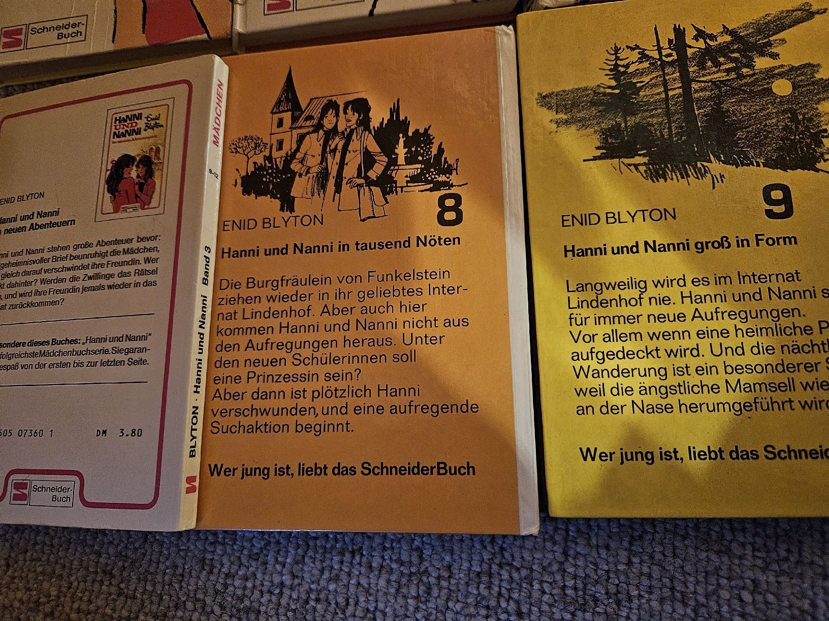 Hanni und Nanni und Dolly Bücher, Enid Blyton, guter Zustand (Gebraucht ...