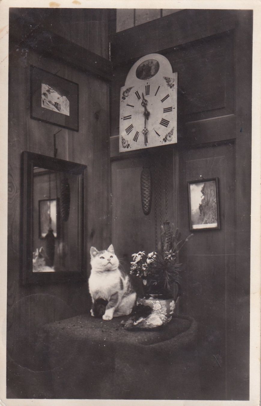 Bald Mittag (Katze unter alter Uhr in der guten Stube) (Gebraucht) in ...