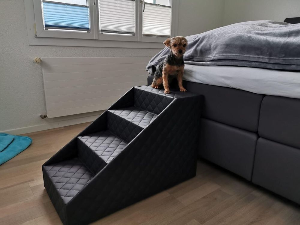 Boxspringbett Hundetreppe Bett