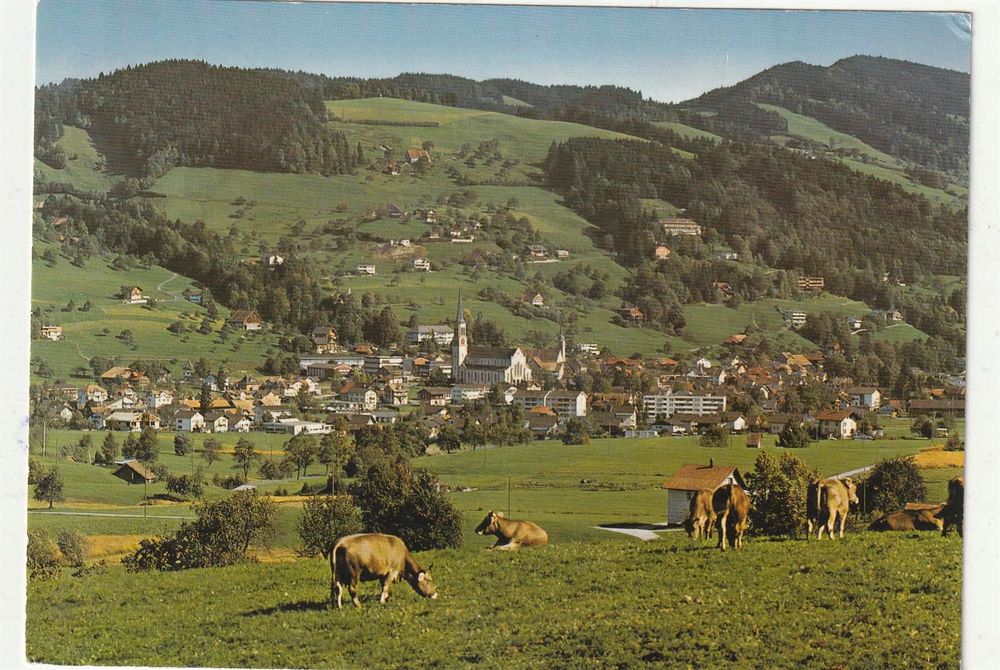 Unterägeri Sommer (Gebraucht) in Lumbrein für CHF 0.5 – mit Lieferung auf Ricardo kaufen