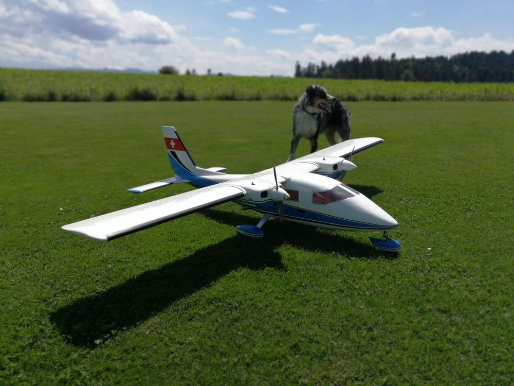 Partenavia P68 2.2m (Gebraucht) in Hergiswil LU für CHF 314 – nur ...