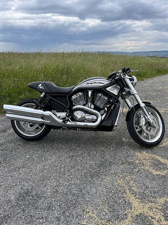 Harley Davidson Steet Rod (Gebraucht) in Mellingen für CHF 7700 – nur ...