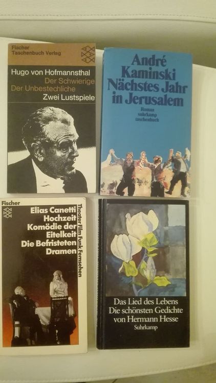 Bücherpaket 4 Stk. Roman-Klassiker (Gebraucht) in Effingen für CHF 9 ...