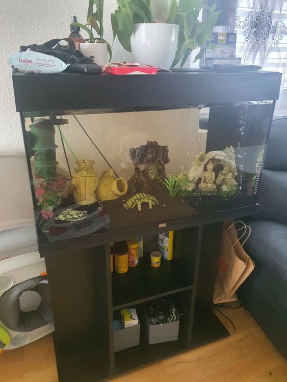 Aquarium ca. 70 liter komplett (Gebraucht) in Erstfeld für CHF 15 – nur Abholung auf Ricardo kaufen