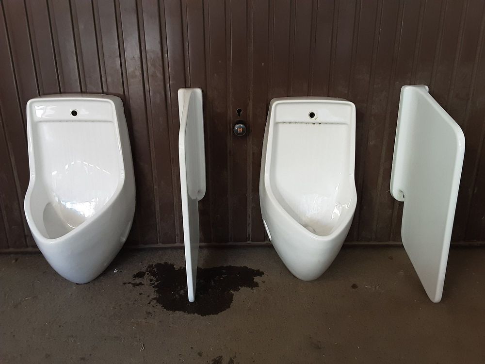 Pissoir | Kaufen auf Ricardo